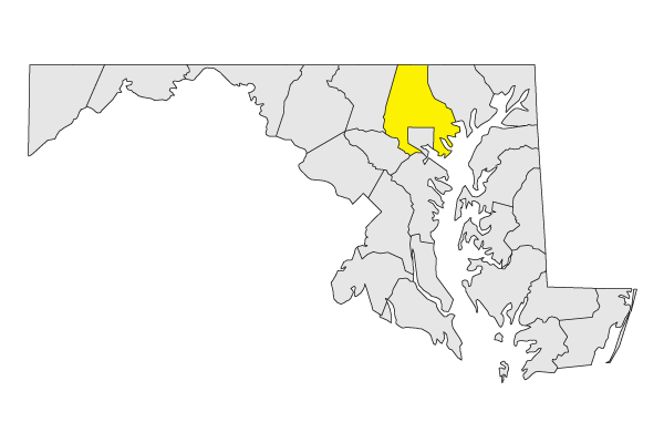 Crew Members Wanted - Flagger Force